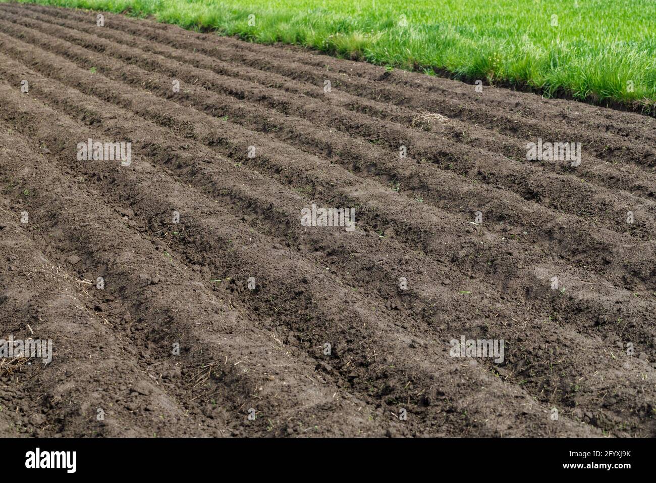 Farm agricultural land crops hi-res stock photography and images - Alamy