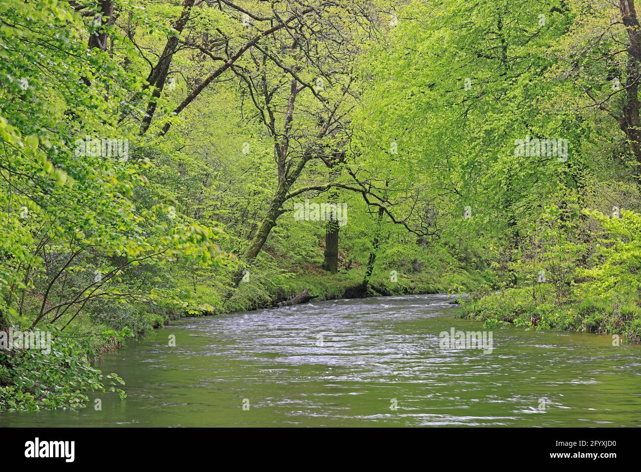Fingles bridge hi-res stock photography and images - Alamy
