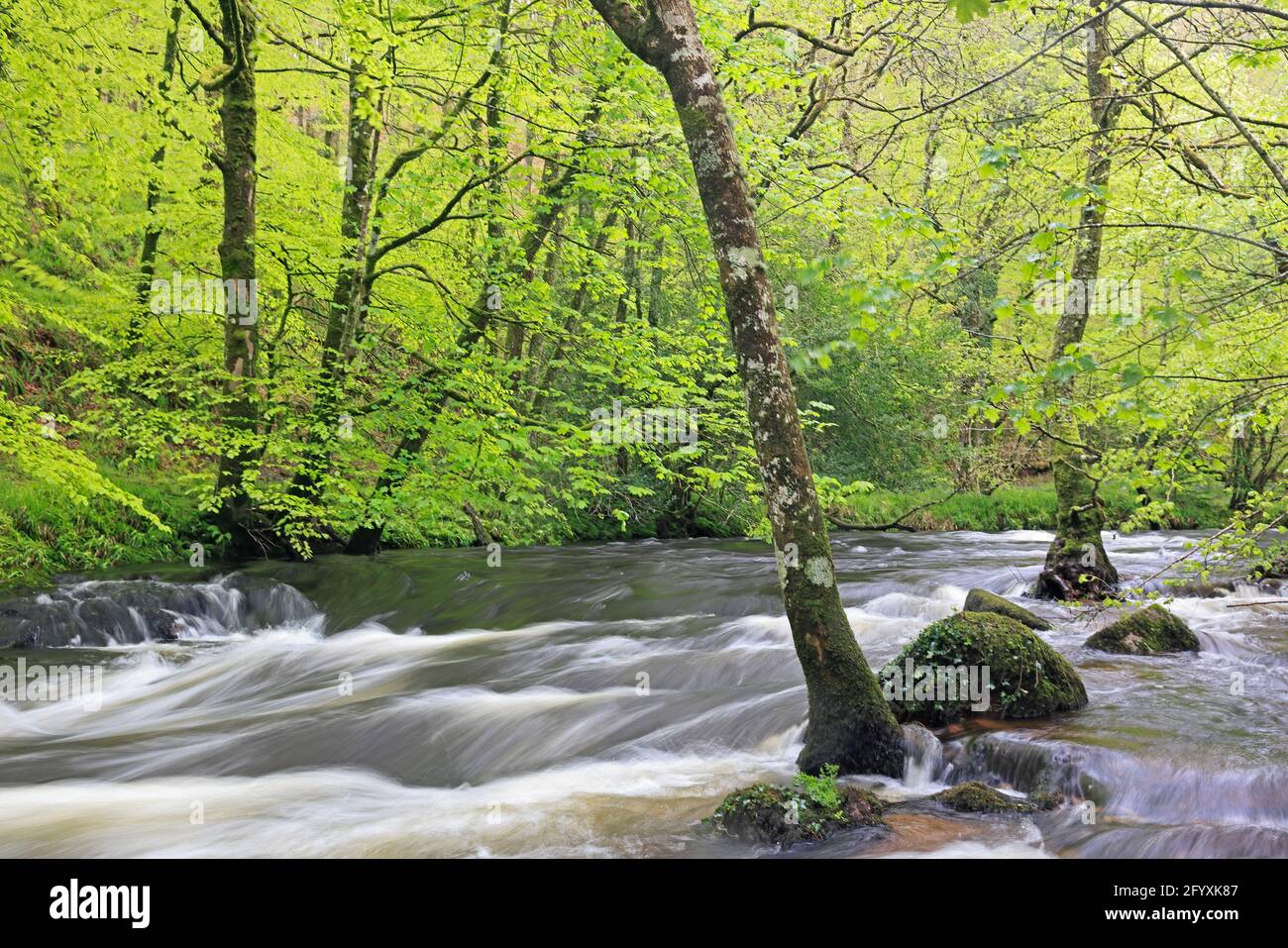 Fingles bridge hi-res stock photography and images - Alamy