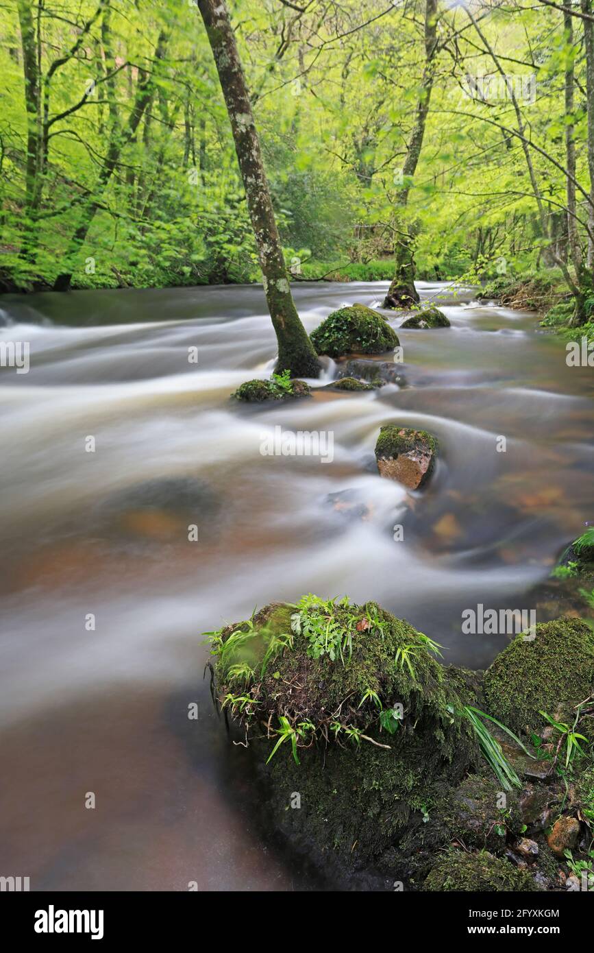 Fingles bridge hi-res stock photography and images - Alamy