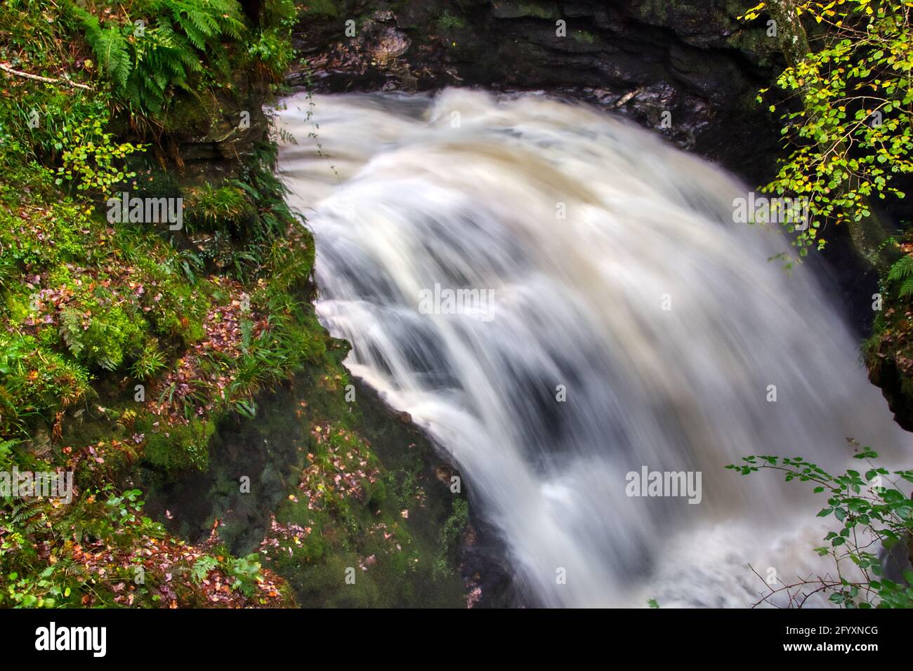 Fast Flowing Cynfal, North Wales Stock Photo - Alamy