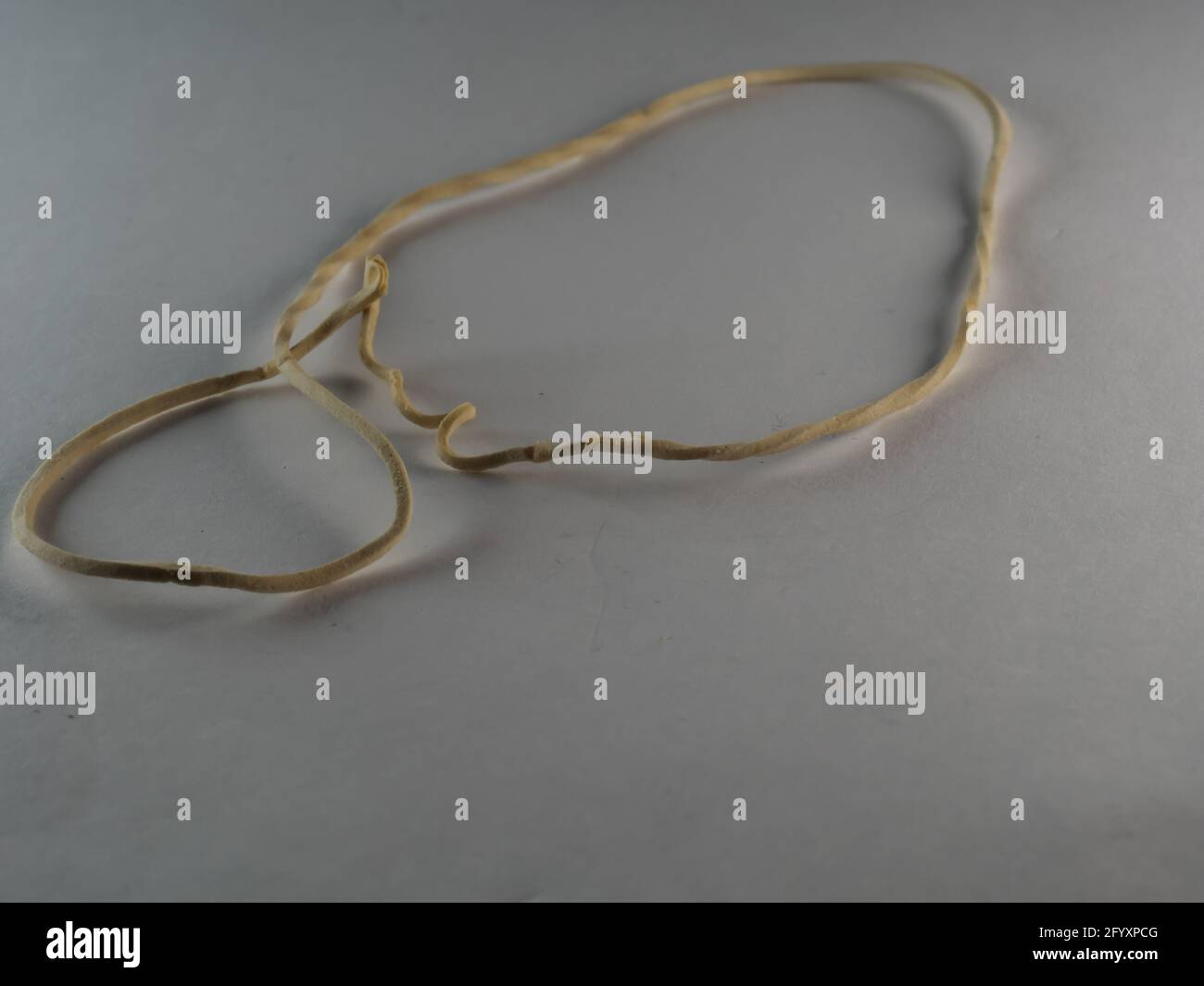 A closeup of used rubber band isolated on gray surface Stock Photo - Alamy