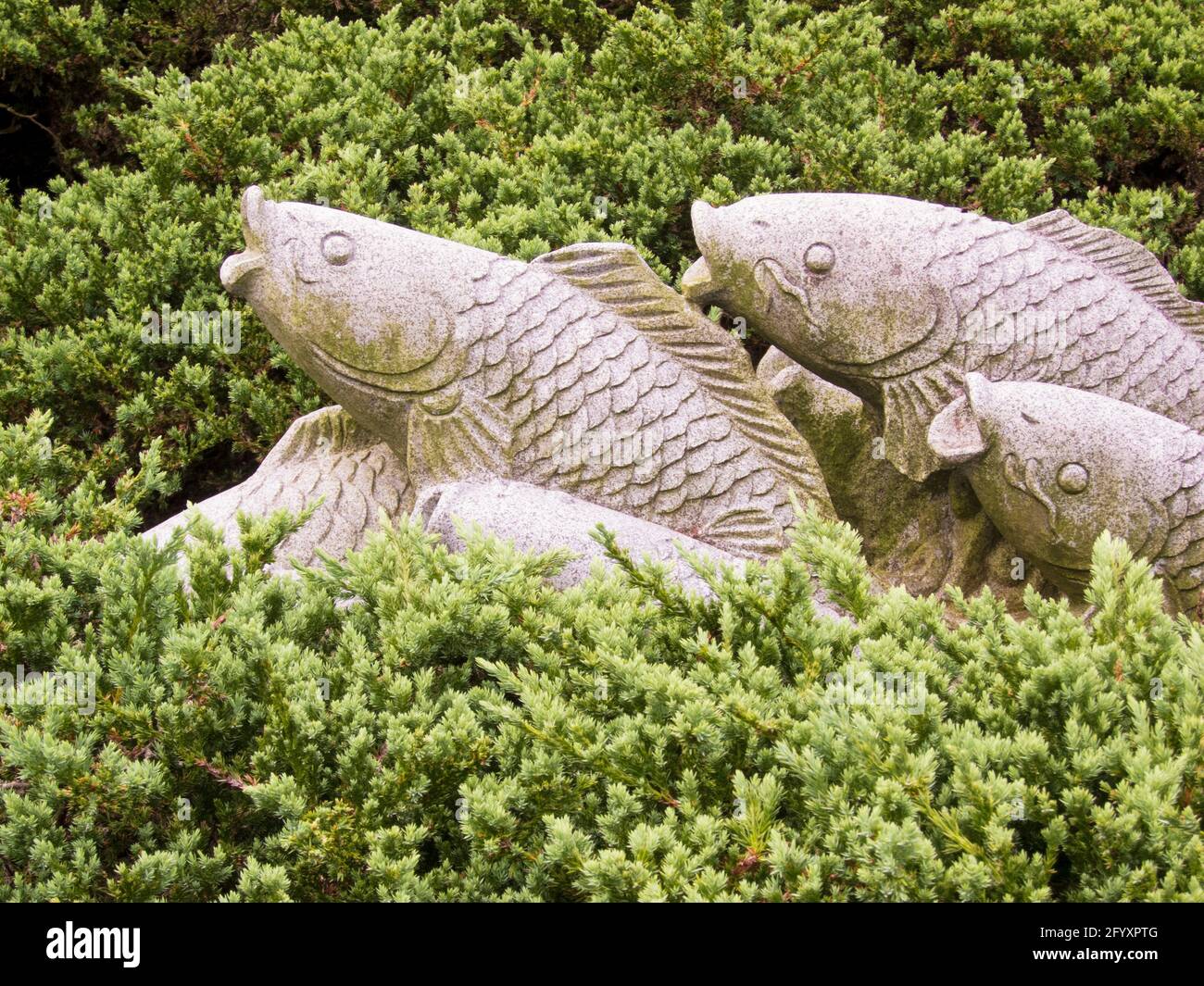 Grey granite sculpture of fish jumping at the Botanic garden in ...