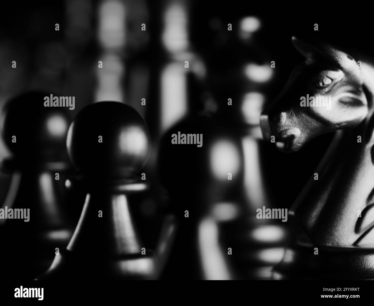 A dramatic grayscale shot of chess figures lit in the darkness Stock ...