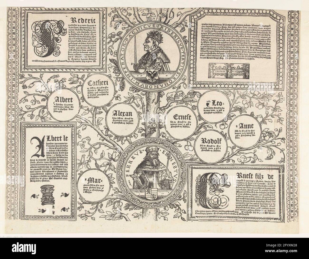 Family tree of the Habsburg house, sheet of fourteen; Family tree of ...