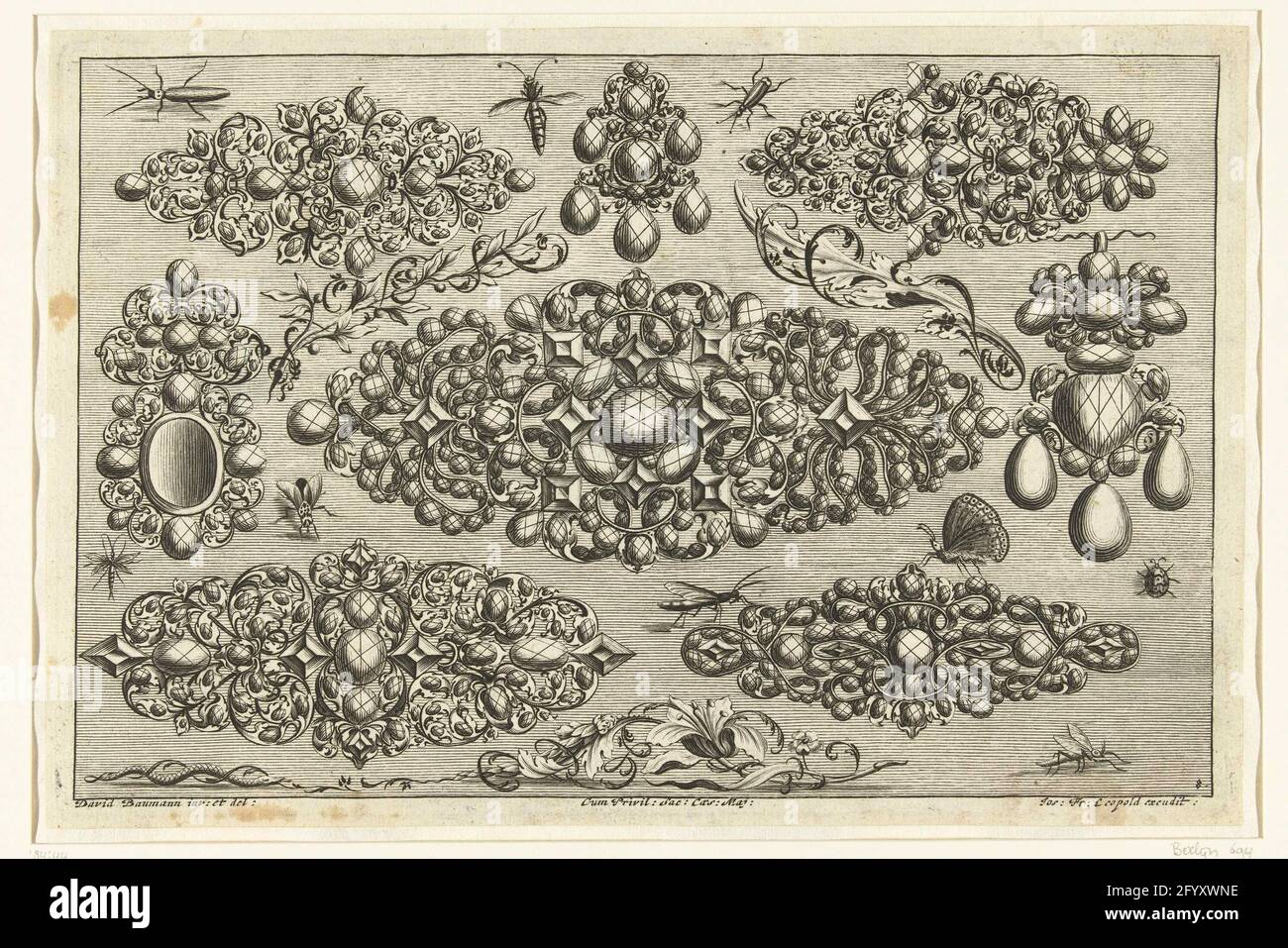 Nine insects hi-res stock photography and images - Alamy