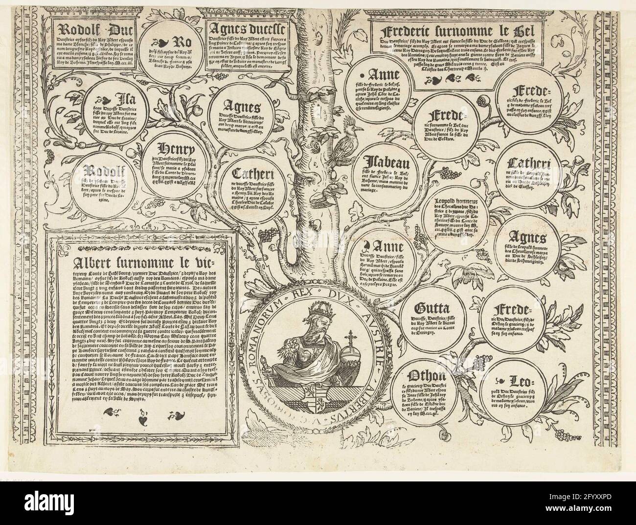 Family tree of the Habsburg house, leaf eleven; Family tree of the ...