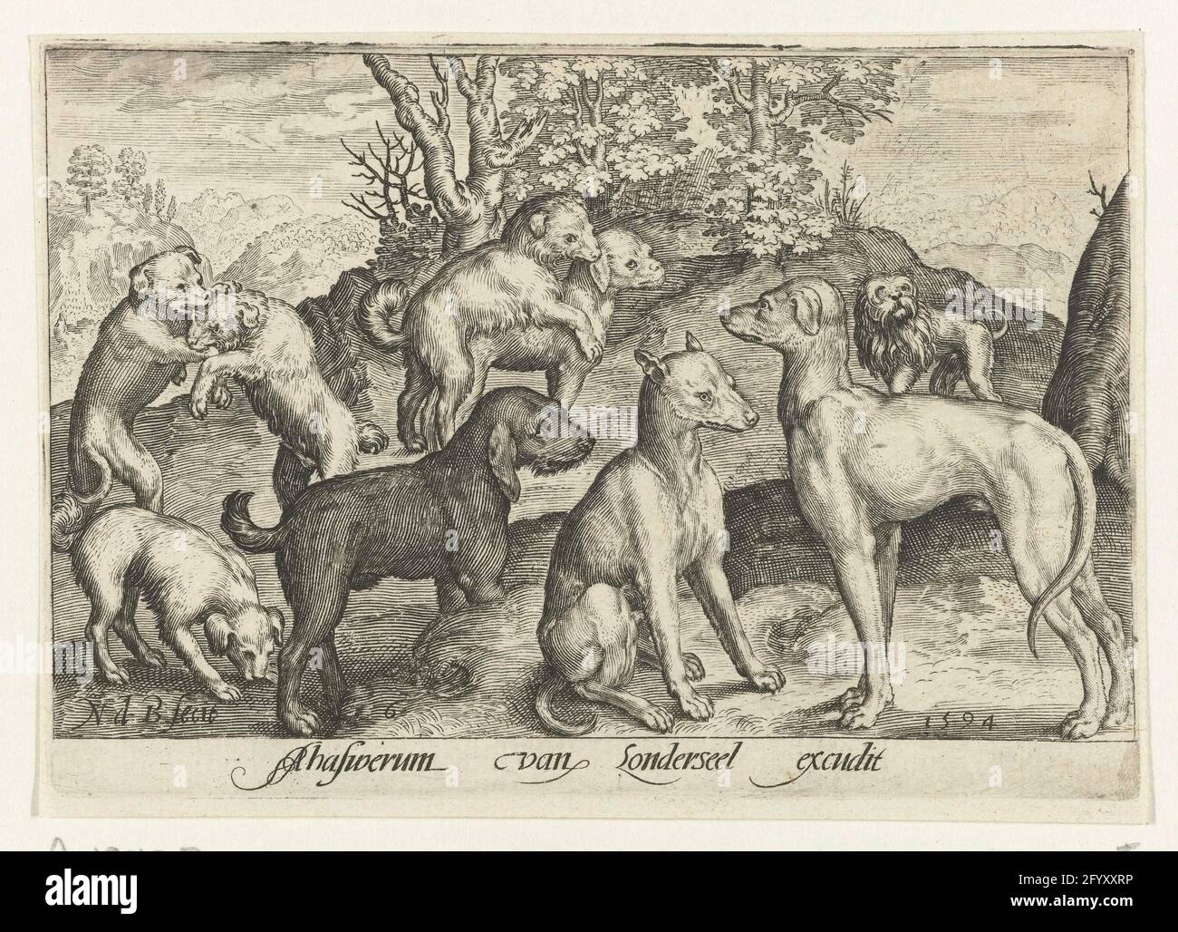 Nine dogs; Animalivm qvadrvpedvm; Animals in landscapes Stock Photo - Alamy