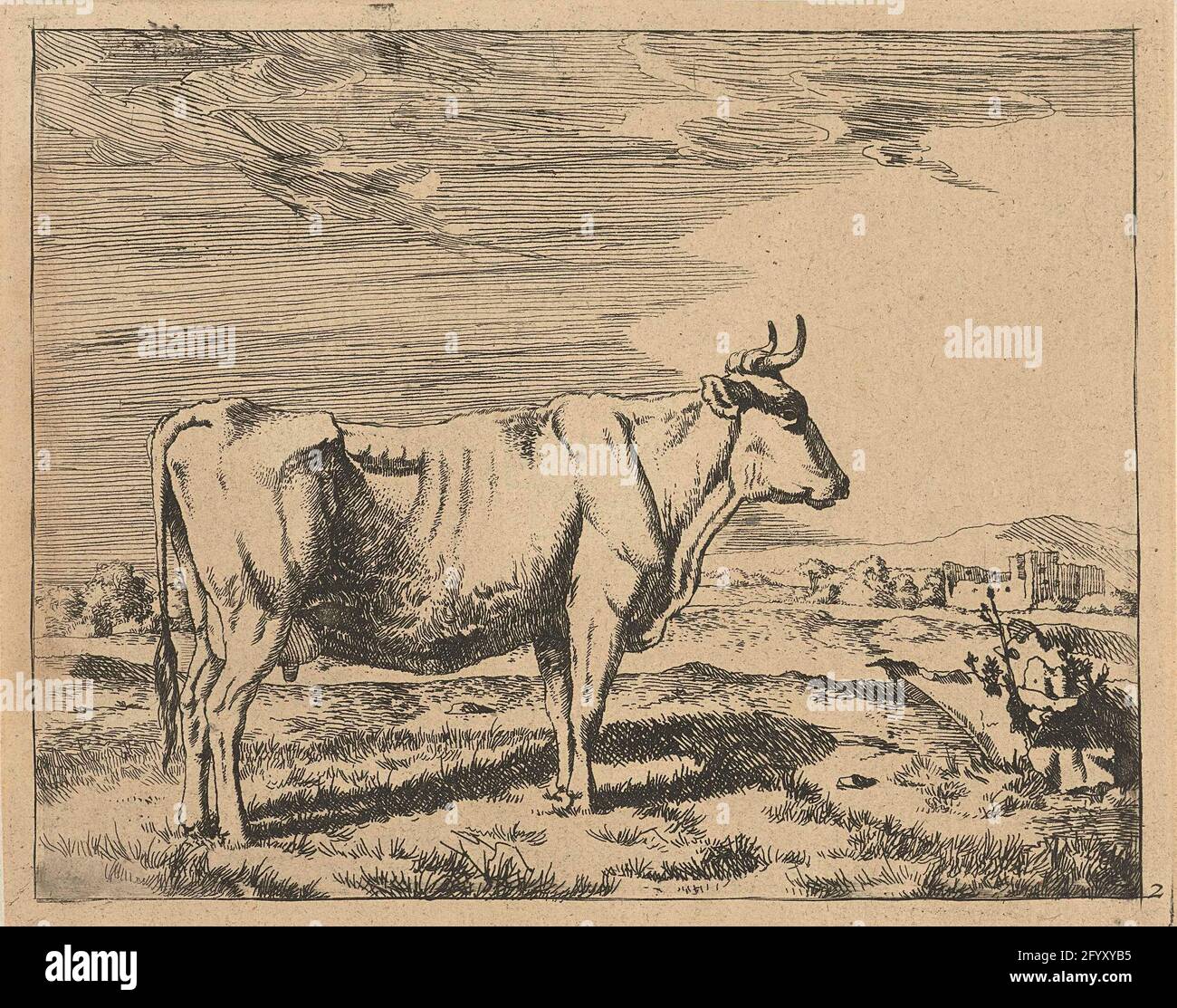 Profil sheep hi-res stock photography and images - Alamy