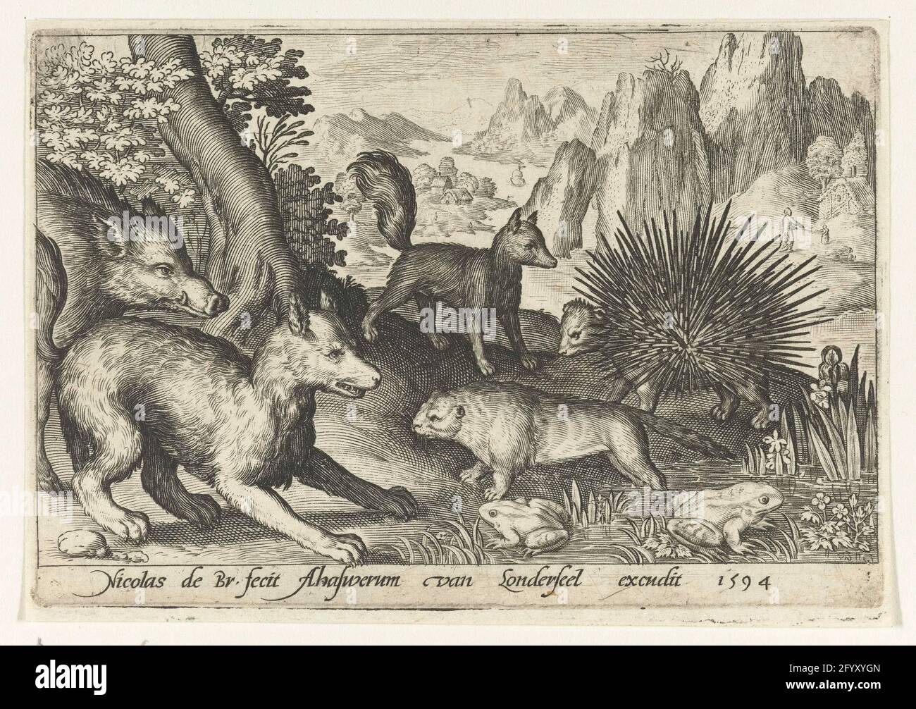 Wild boar, foxes, beaver, porcupine and frogs; Animalivm qvadrvpedvm ...
