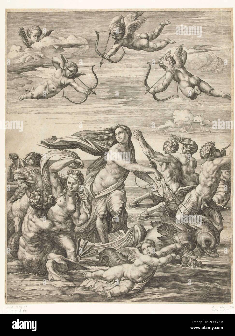 The triumph of Galatea. Galatea, over the water sailing on a shell ...