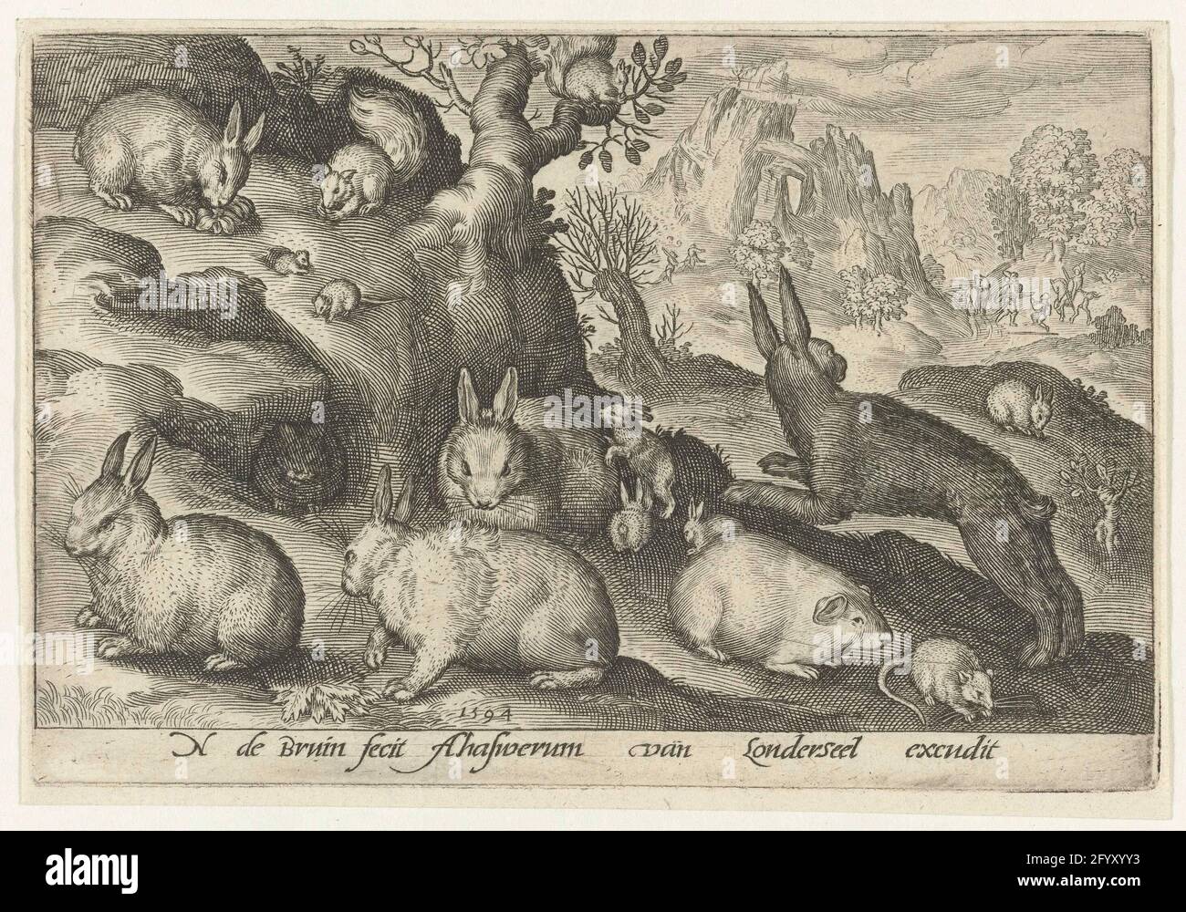 Rabbits, squirrel, guinea pig and mouse; Animalivm qvadrvpedvm; Animals ...