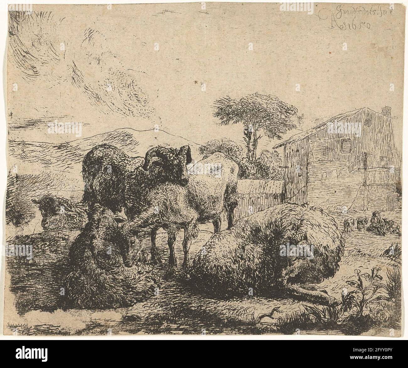 Group of five sheep Stock Photo - Alamy