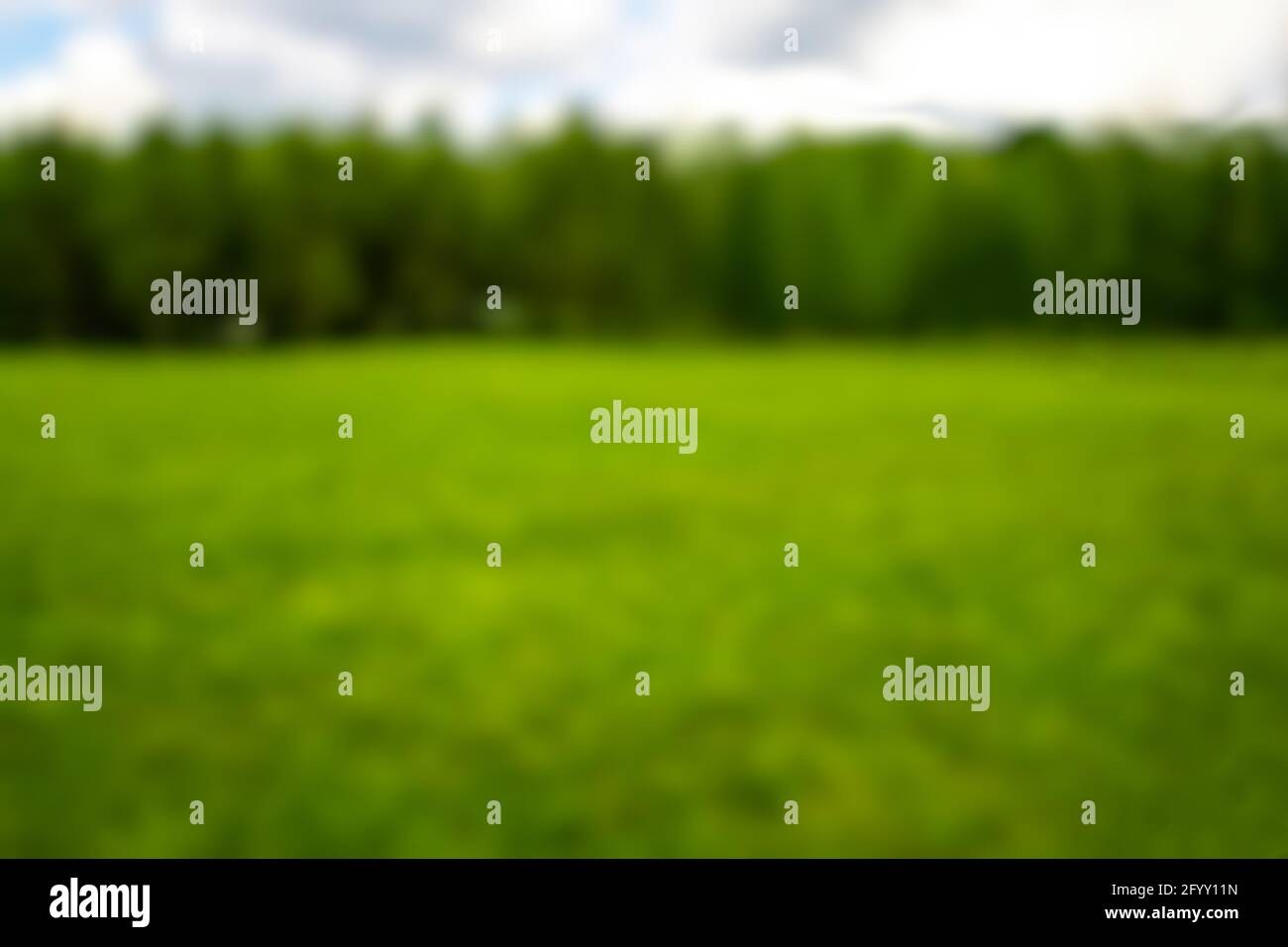 Blurred landscape of green lawn and forest background Stock Photo - Alamy