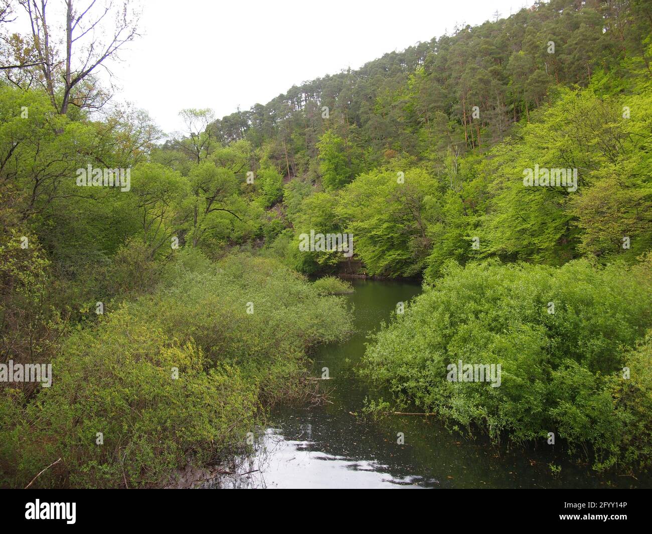 Kellerwald edersee national park hi-res stock photography and images ...