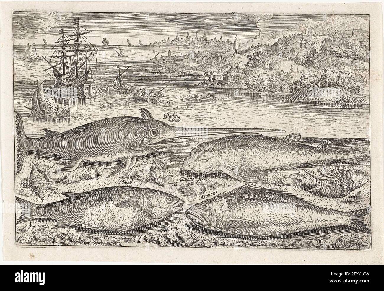 Four fish on the beach; Fishing; PISCIVM VIVAE ICONES. A swordfish, a ...