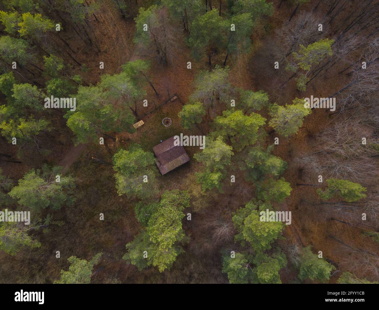 An aerial view of temperate broadleaf and mixed forest Stock Photo - Alamy