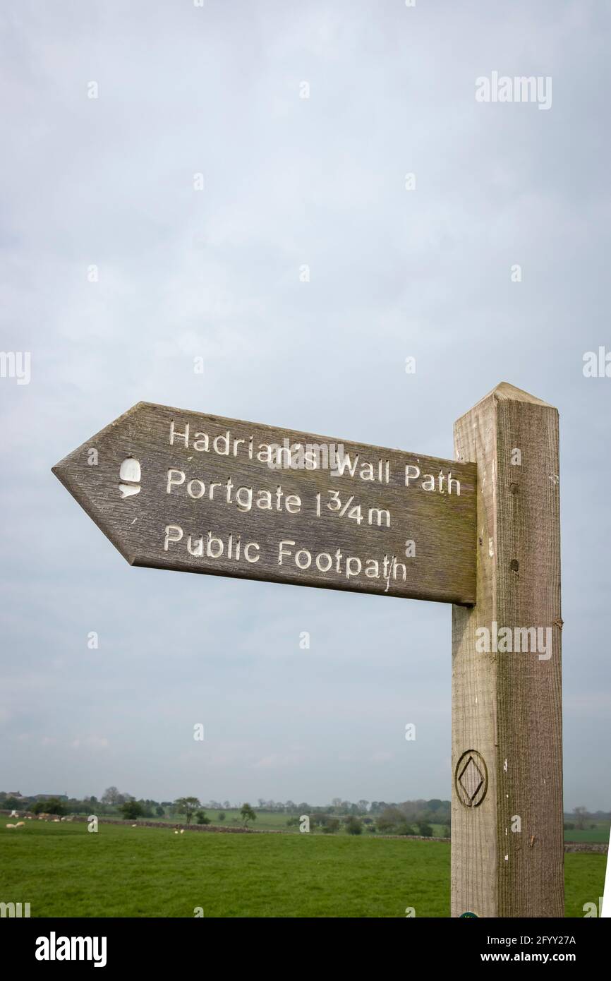 isolated wooden Hadrian's Wall path sign in Northumberland Stock Photo ...