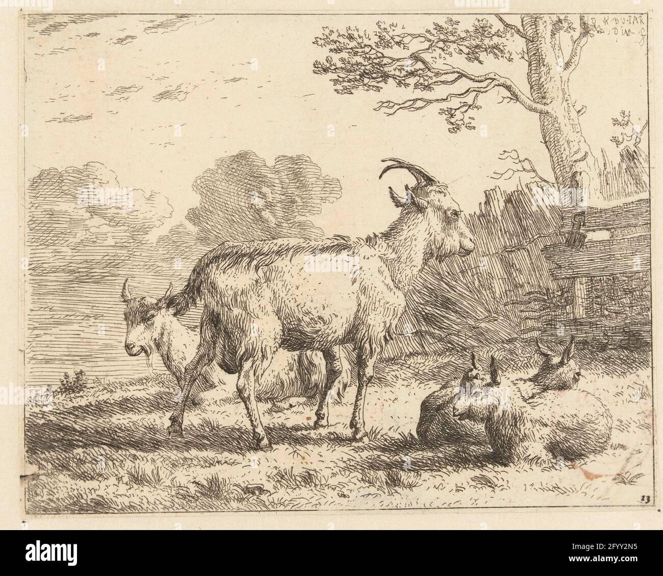 Four Goats High Resolution Stock Photography and Images - Alamy