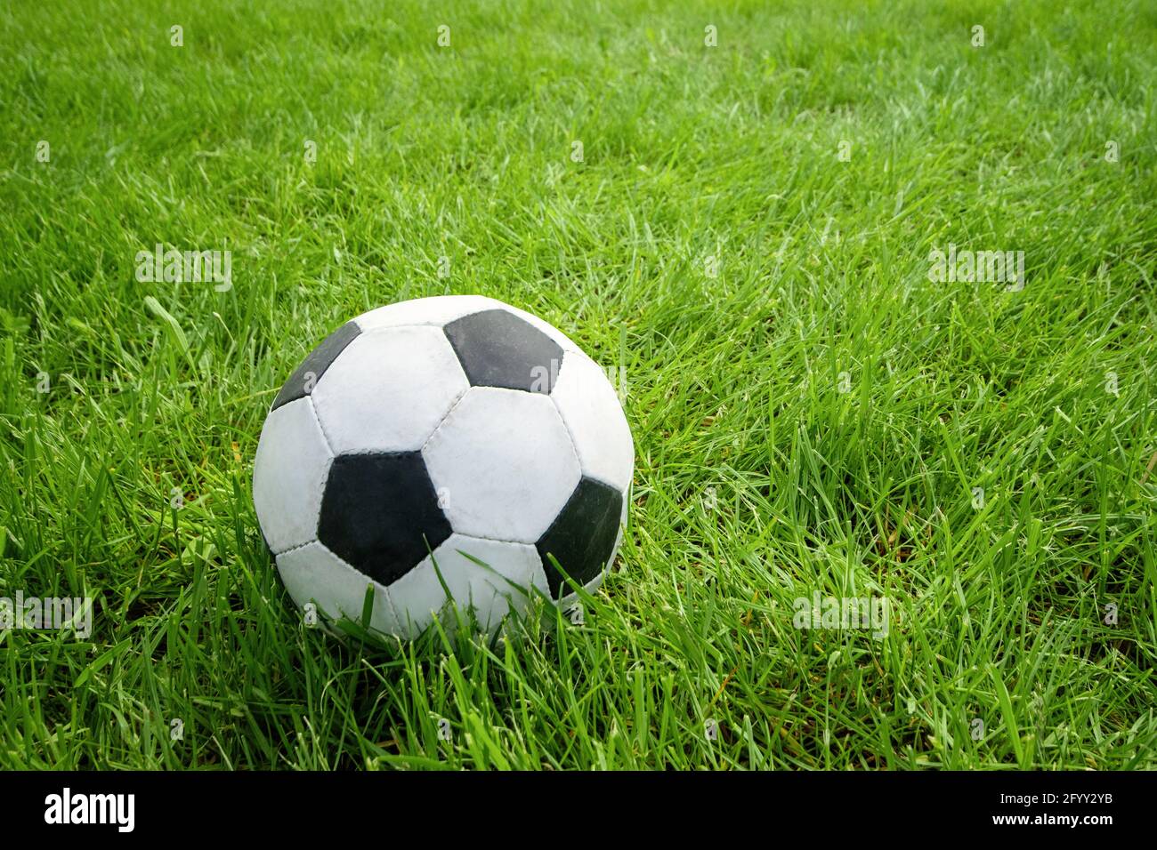 Football soccer ball on green grass field Stock Photo - Alamy