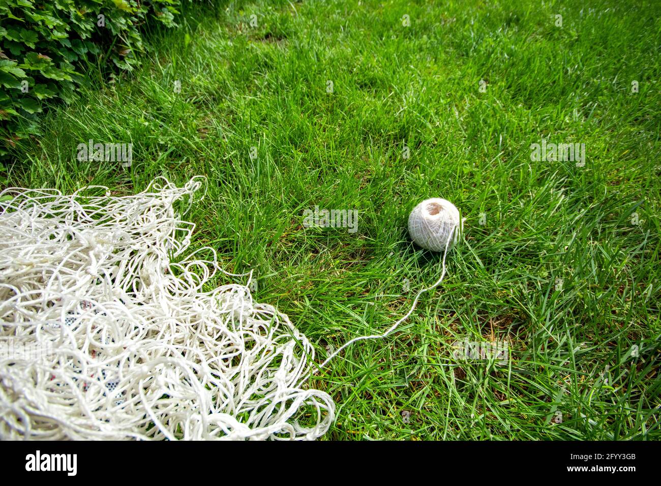 Roll of white rope in green grass or lawn Stock Photo - Alamy