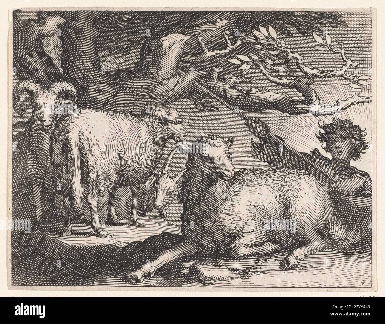 Shepherd with sheep; Pastors Stock Photo - Alamy