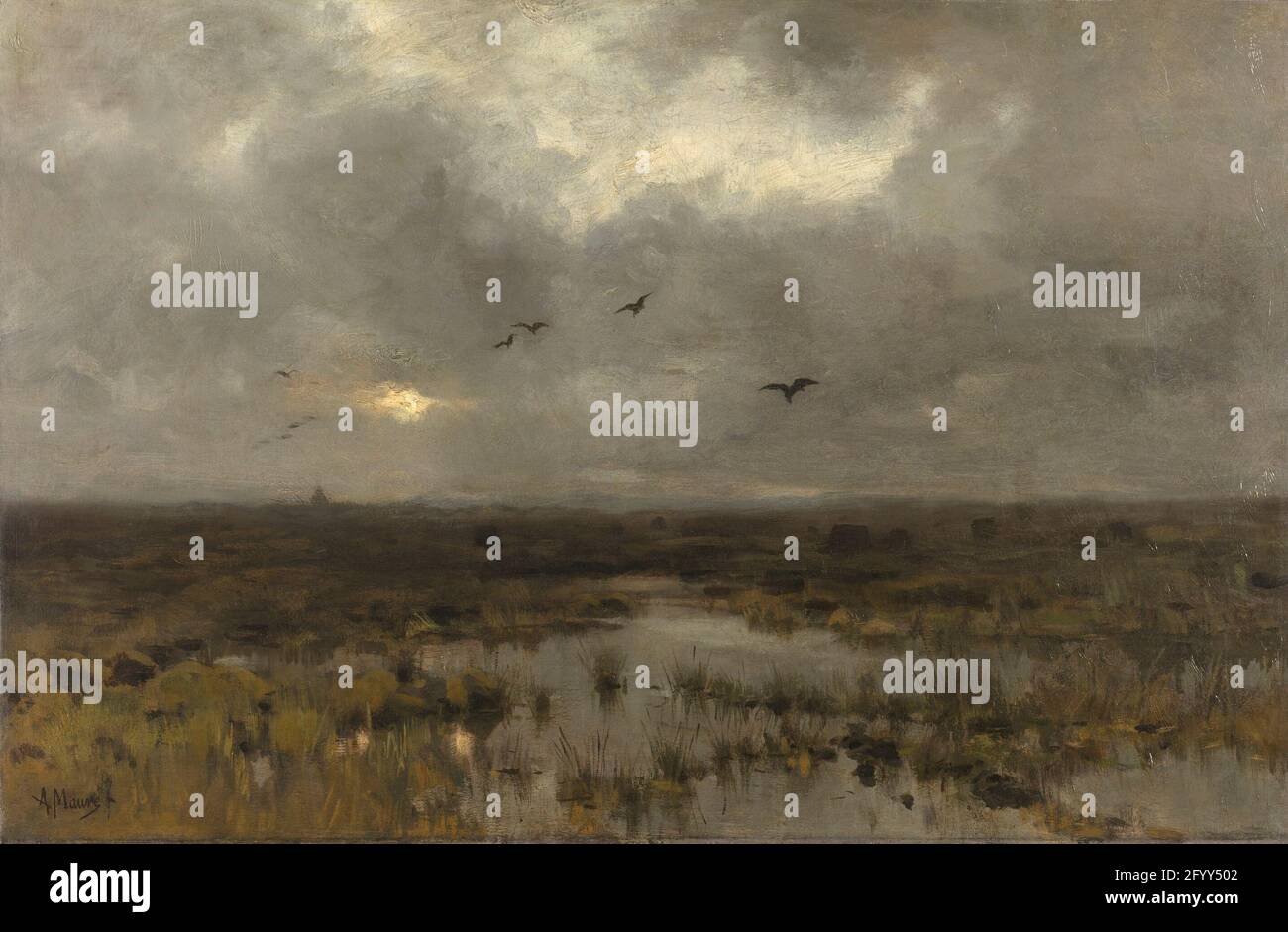 The Marsh. Flat landscape with a swamp and a few birds Stock Photo - Alamy