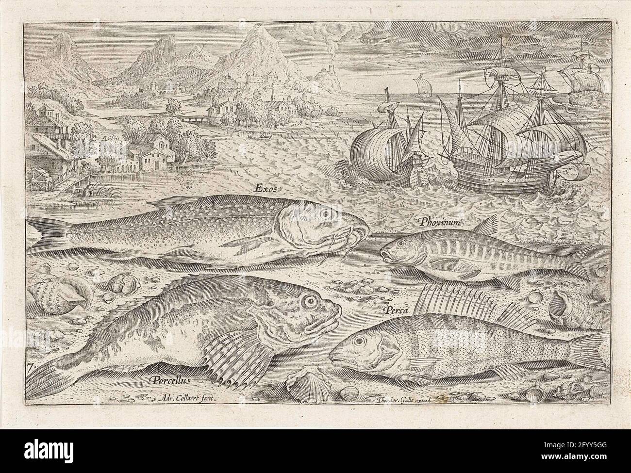 Four fish on the beach; Fishing; PISCIVM VIVAE ICONES. A carp, an ...