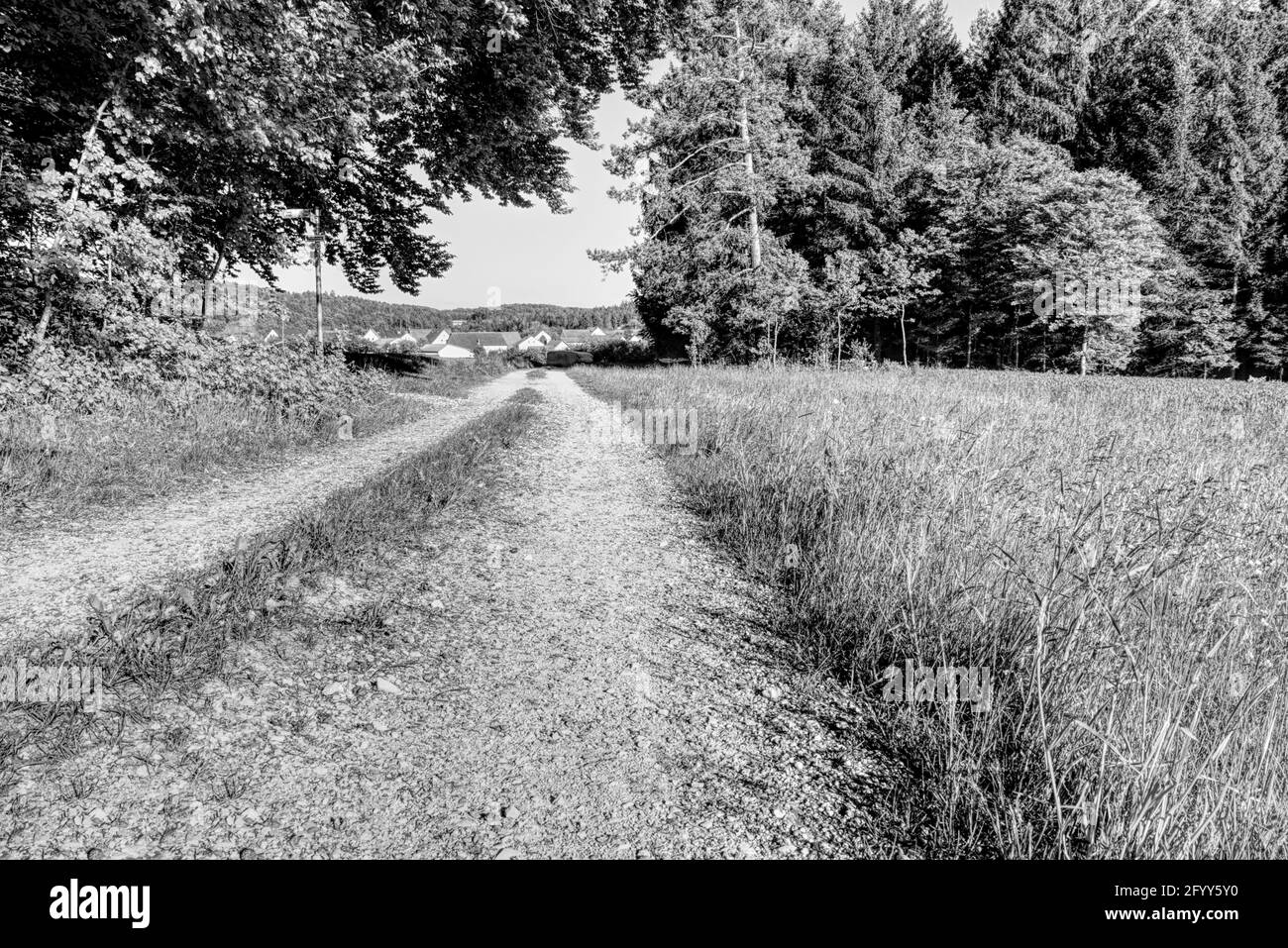 Dirt road view in Black and White Stock Photos & Images - Alamy