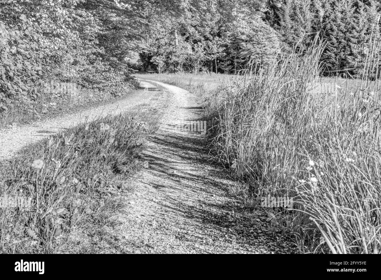 Dirt road view in Black and White Stock Photos & Images - Alamy