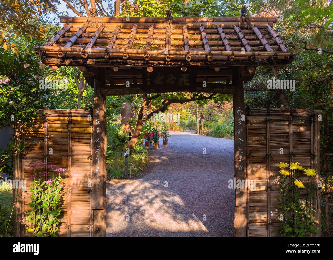 Bamboo Gate High Resolution Stock Photography and Images - Alamy