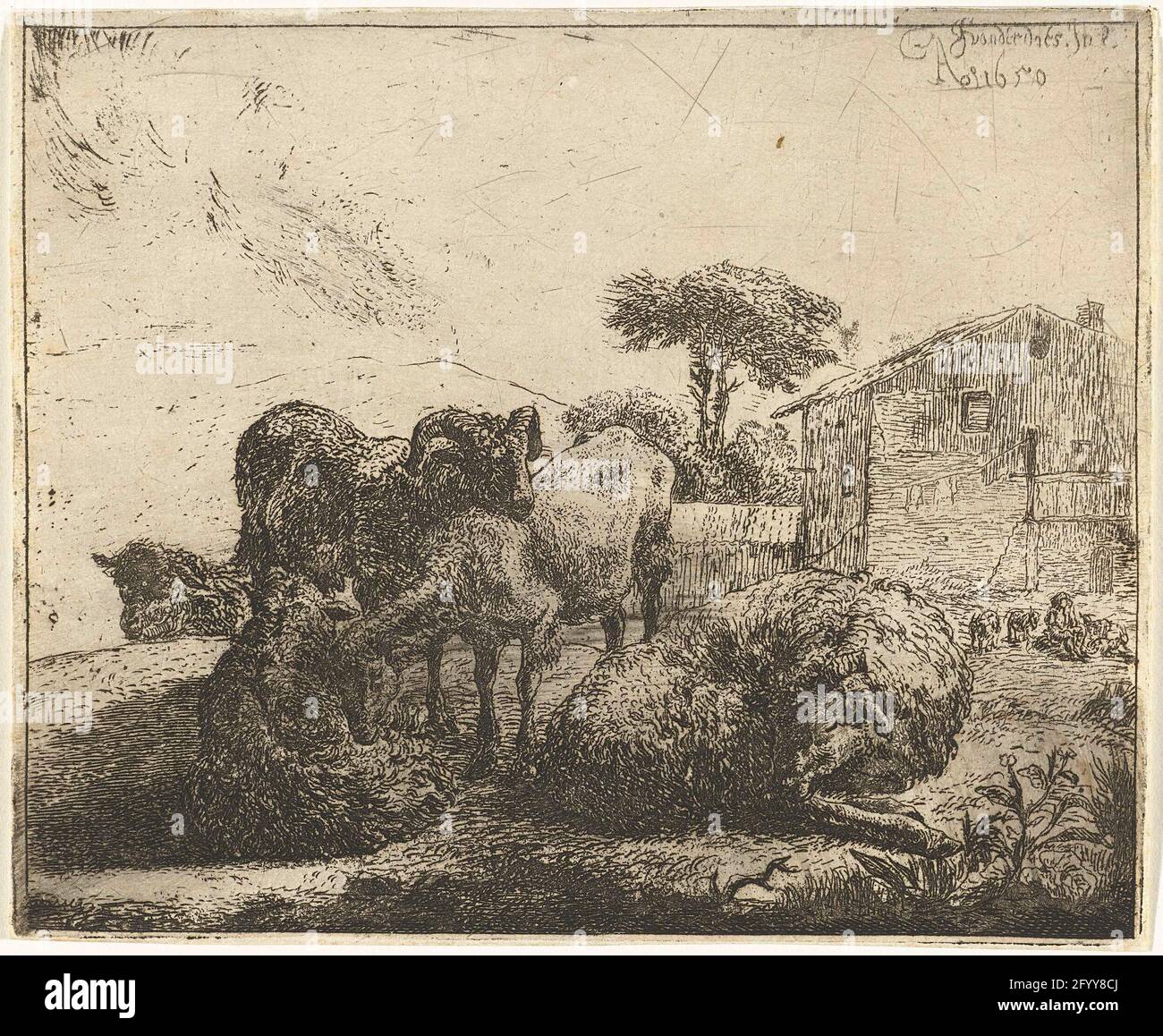 Group of five sheep Stock Photo - Alamy