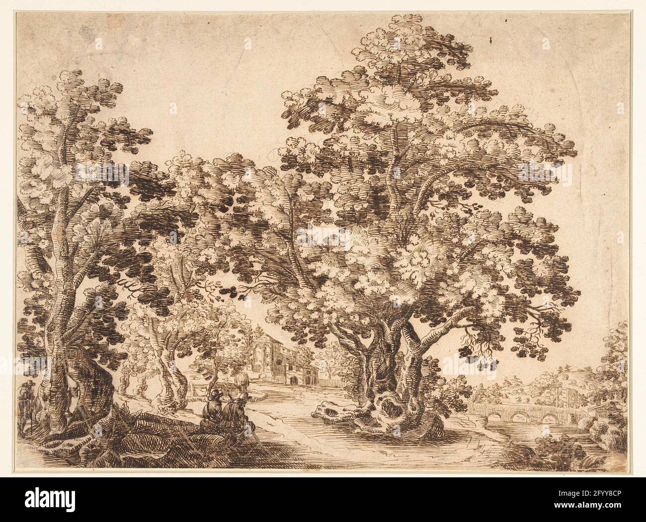 Landscape with tree groups Stock Photo - Alamy