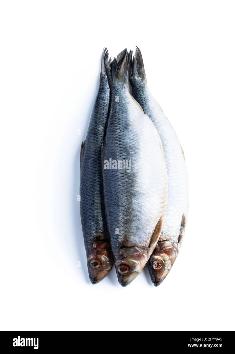 Raw herring fresh fish isolated on white Stock Photo - Alamy