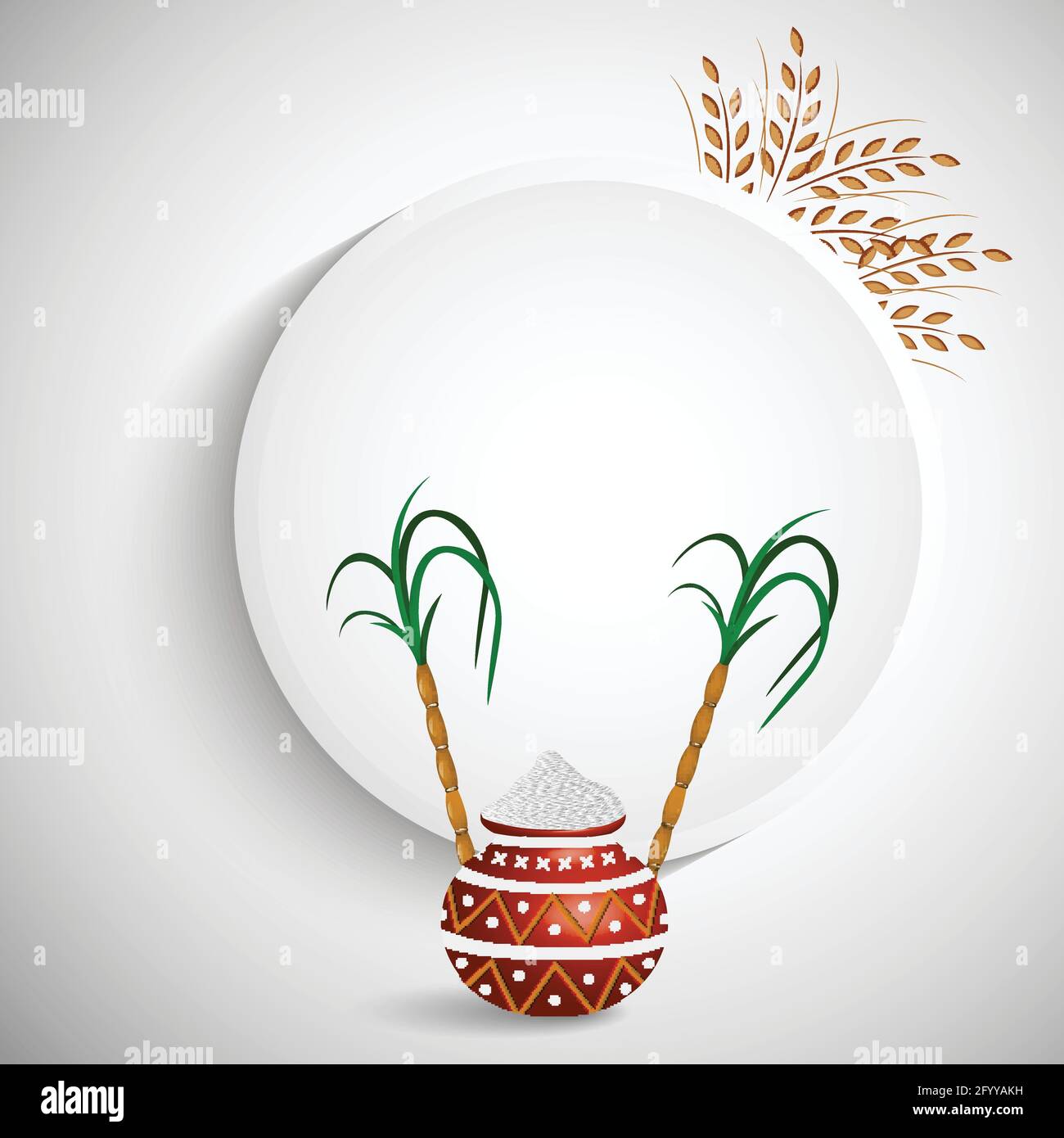 Vector illustration design pongal Stock Vector Images - Alamy