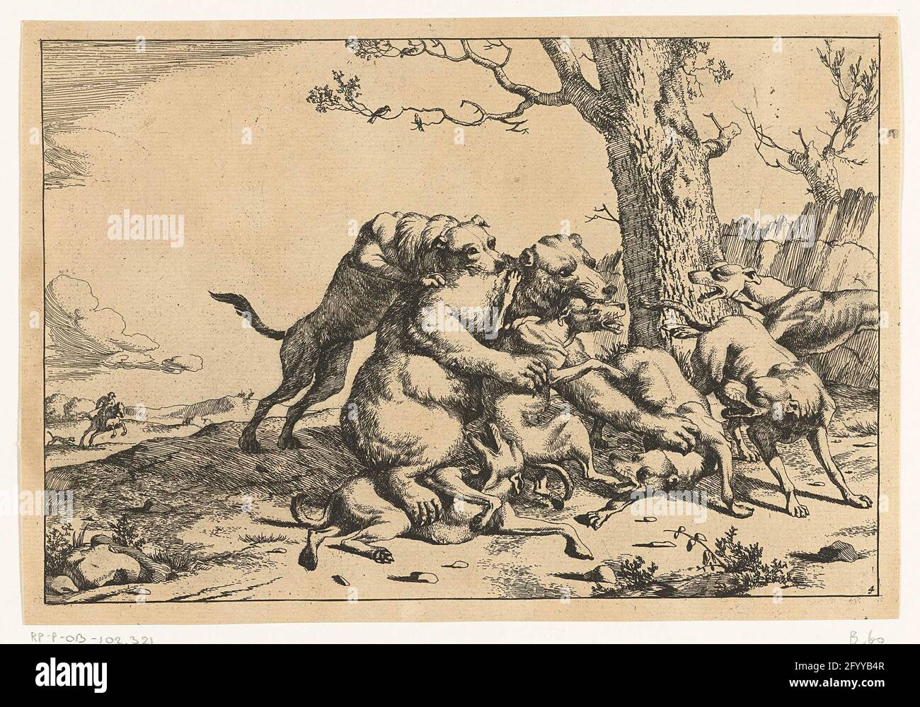 Bear in battle with six hunting dogs; Hunting dogs Stock Photo - Alamy