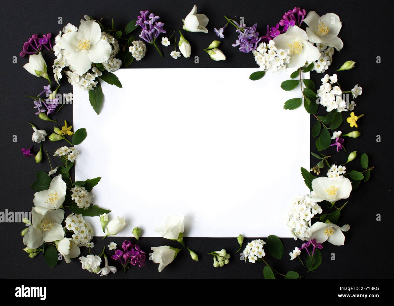 Floral frame made of different spring flowers on black background ...