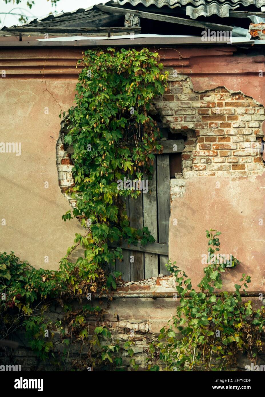 A wall in an old ruined house. Abandoned Stock Photo - Alamy