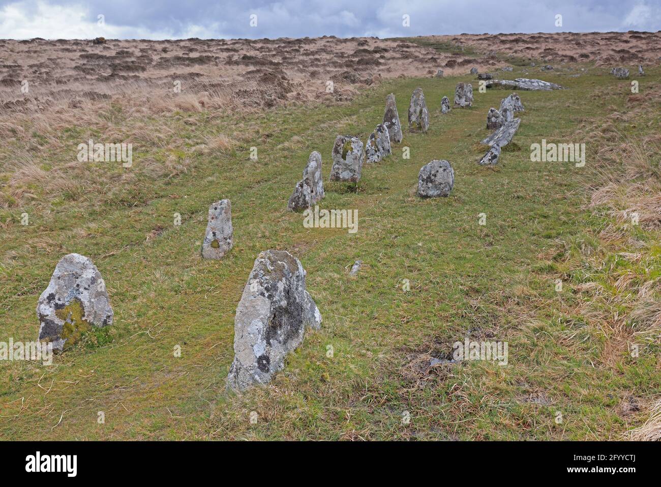 Stone Rows on Shovel Down Dartmoor UK Stock Photo - Alamy