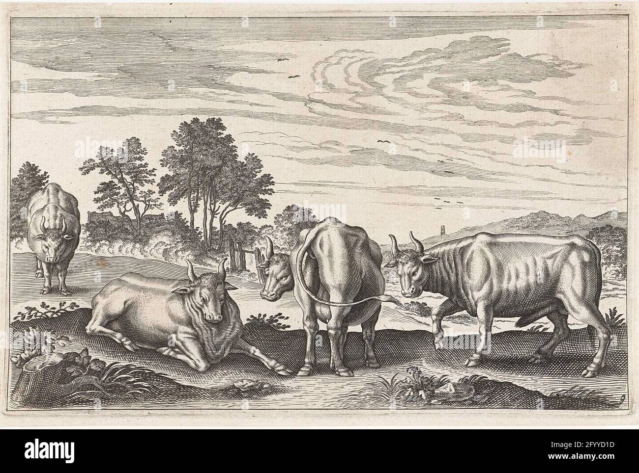Cattle; Four-legged animals; ANIMALIVM QVADRVPEDVM. Four bulls in the ...