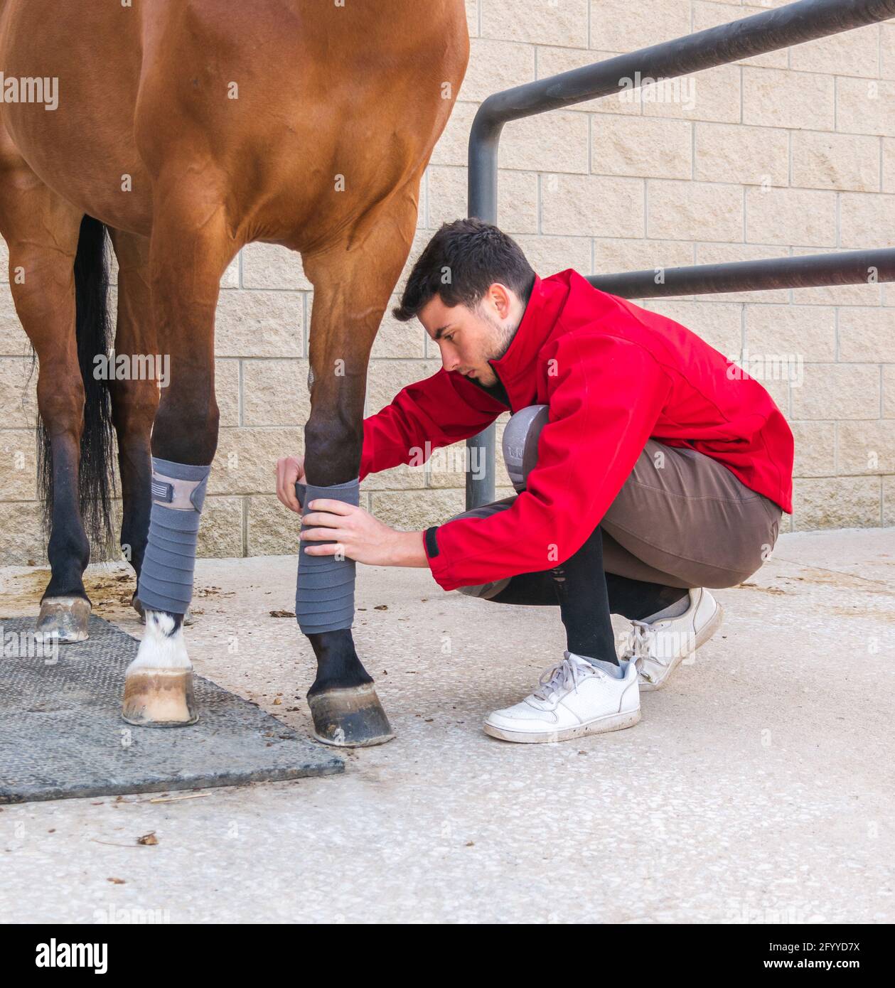 Outdoor stable hi-res stock photography and images - Alamy
