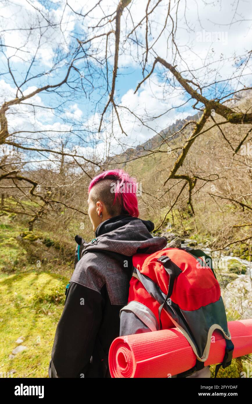 Back view of anonymous female explorer with dyed hair and rucksack ...