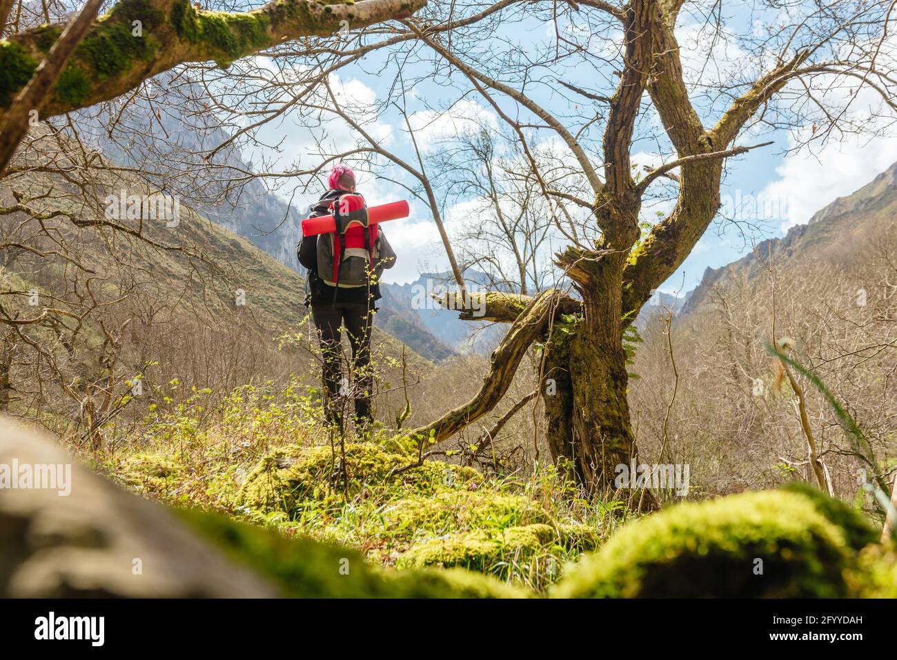 Back view of anonymous female explorer with dyed hair and rucksack ...