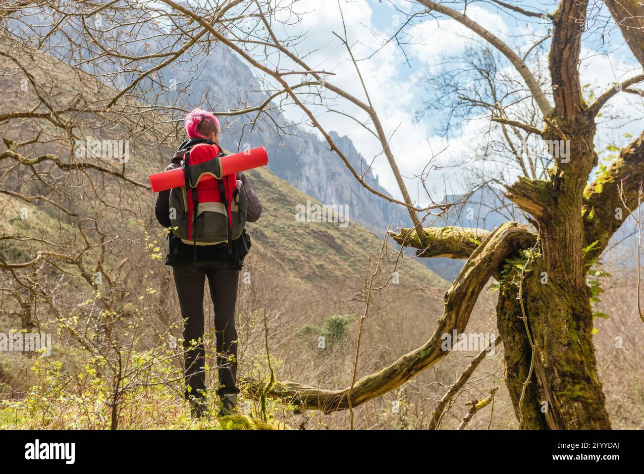 Back view of anonymous female explorer with dyed hair and rucksack ...