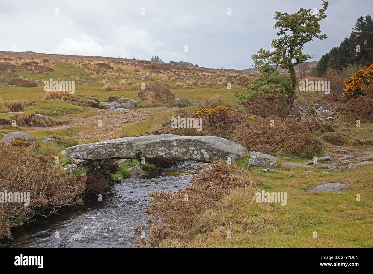 Wallabrook Bridge on Scorhill Down Dartmoor UK Stock Photo - Alamy