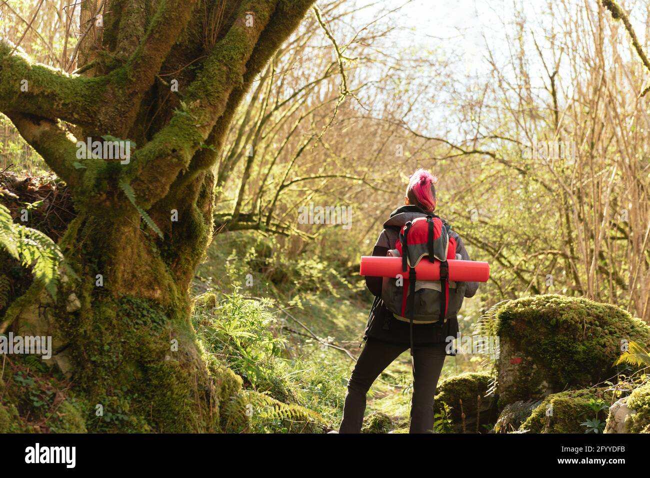 Back view of anonymous female explorer with dyed hair and rucksack ...