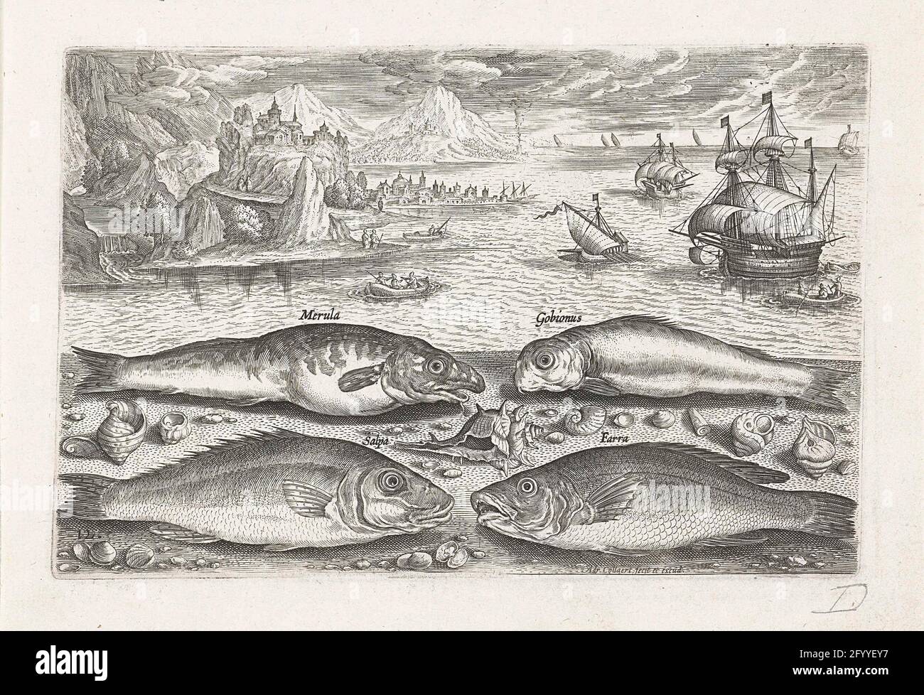 Four fish on the beach; Fishing; PISCIVM VIVAE ICONES. A grondel, a ...