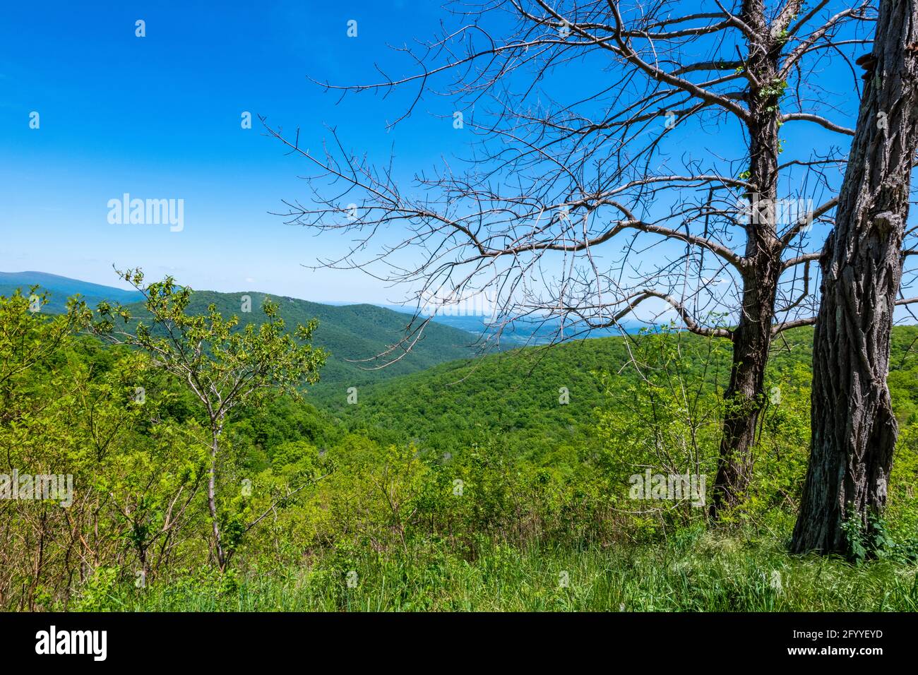 Hike shenandoah hi-res stock photography and images - Alamy