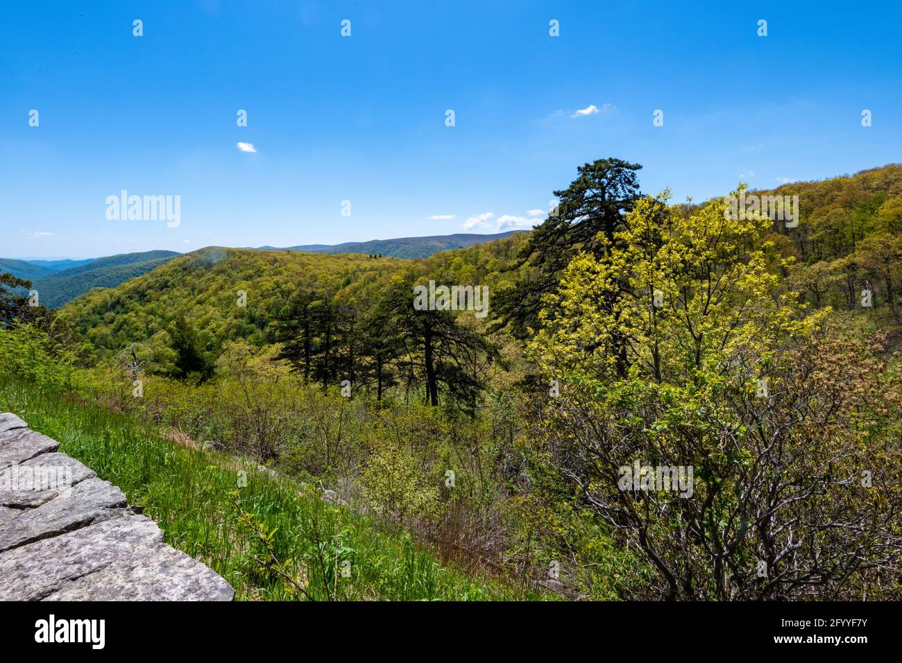 Spring Time in Shenandoah National Park Stock Photo - Alamy
