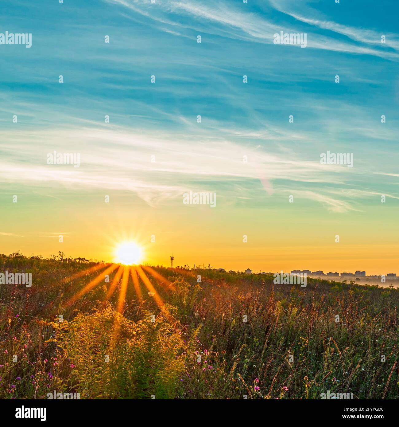 The first rays of the rising sun in a field on the outskirts of the ...